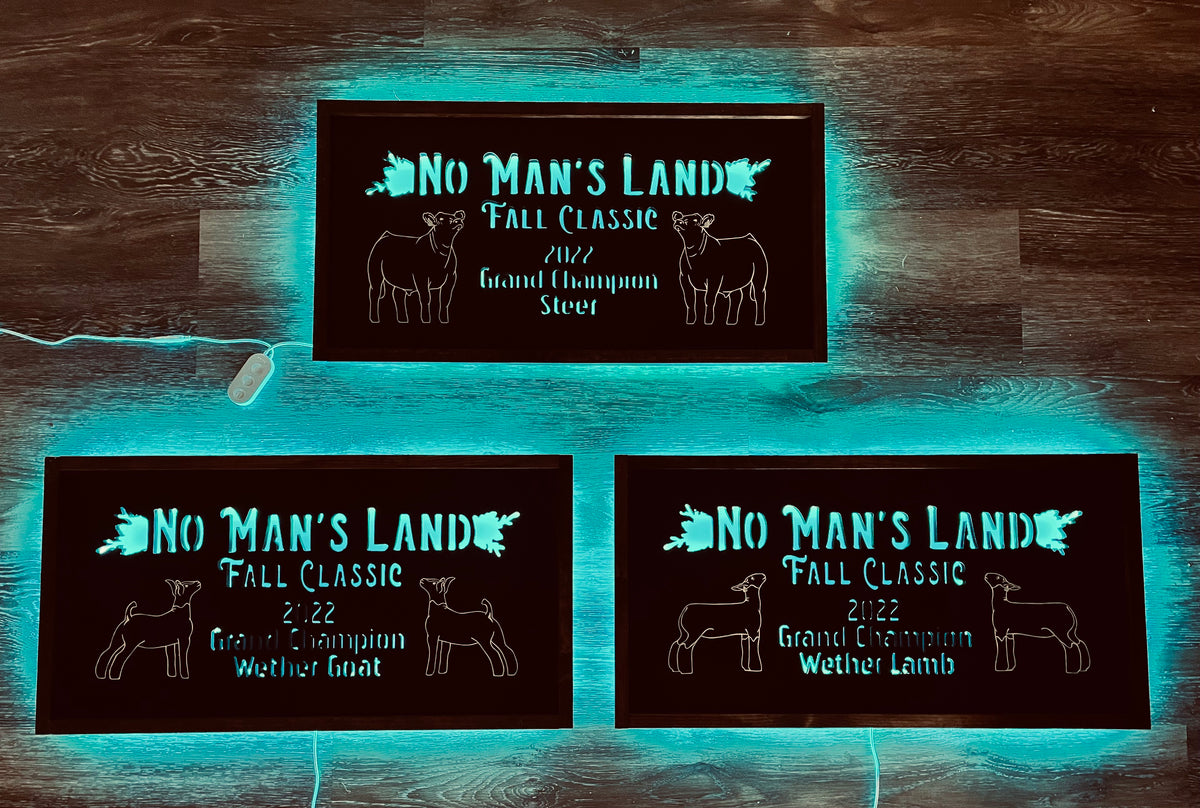 Award LED Light Up Sign – Blonde Salvage